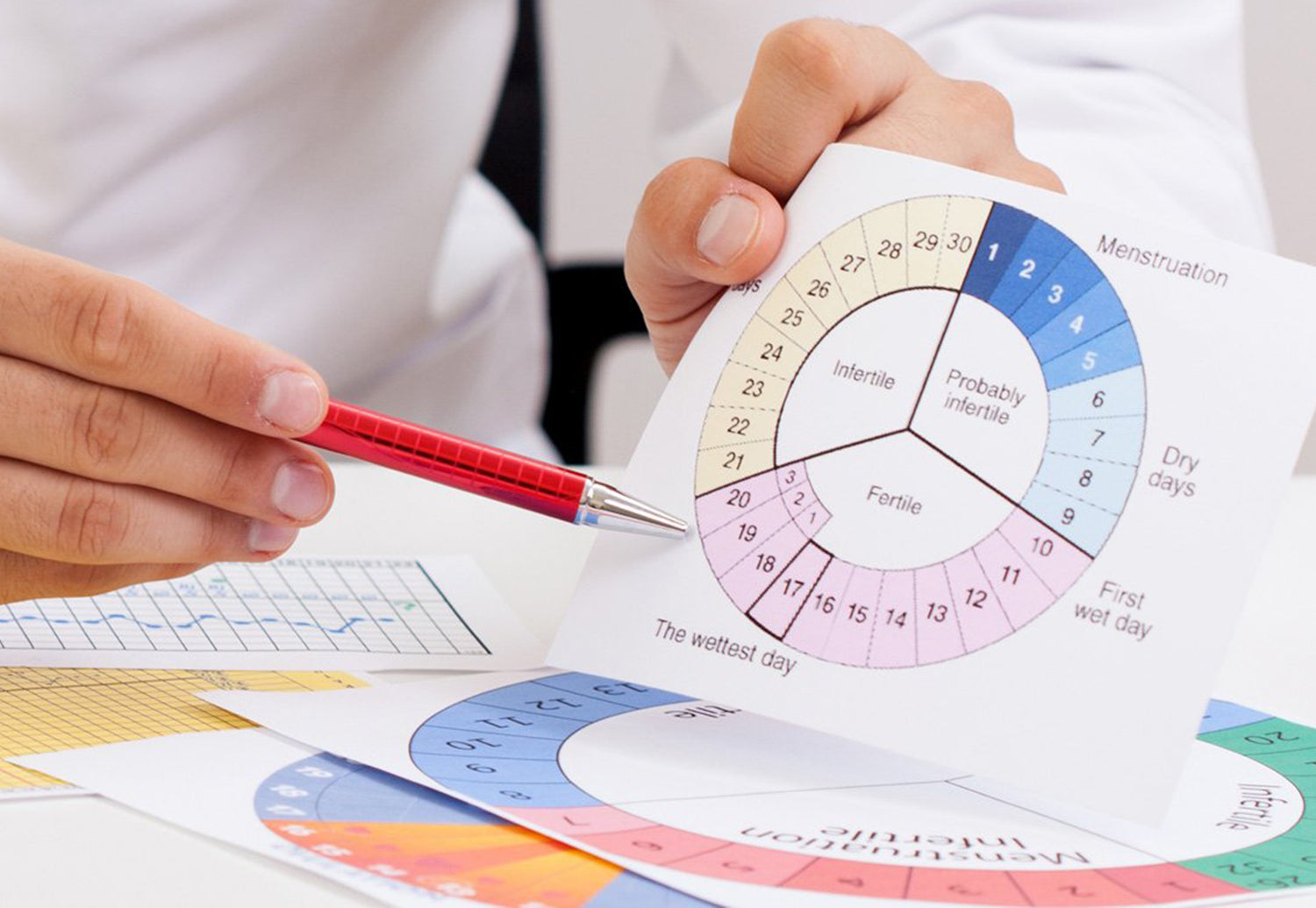 Le Cycle De Regle – Calendrier Ovulation Date Des Règles – BCUTIC